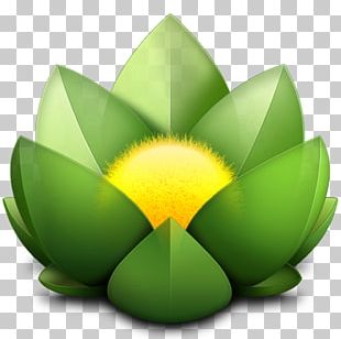 Mercurial Version Control GitHub PNG Clipart Assembla Circle