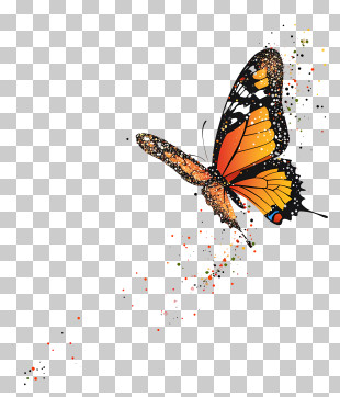Butterfly Trail - Colorful Butterfly PNG