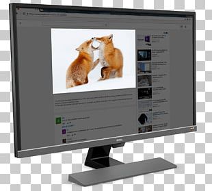 Computer Monitors FreeSync Refresh Rate Graphics Display Resolution DisplayPort PNG, Clipart ...