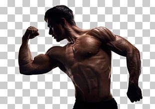 Biceps Muscle Bodybuilding PNG, Clipart, Arm, Biceps, Bodybuilder ...