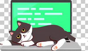 Cat Scratch Computer Programming Programming Language PNG