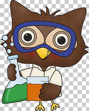 Owl Bird Science PNG, Clipart, Animals, Beak, Bird, Bird Of Prey ...