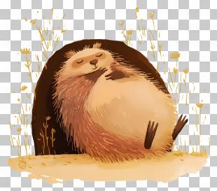 Sleeping Groundhog - Relaxed Hedgehog PNG