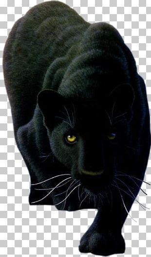Black Tiger Lion Black Panther Leopard PNG, Clipart, Animal Figure, Art ...