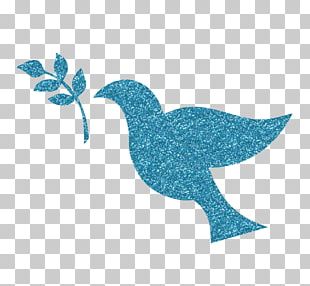 Holy Spirit Dove PNG Images, Holy Spirit Dove Transparent Background PNG